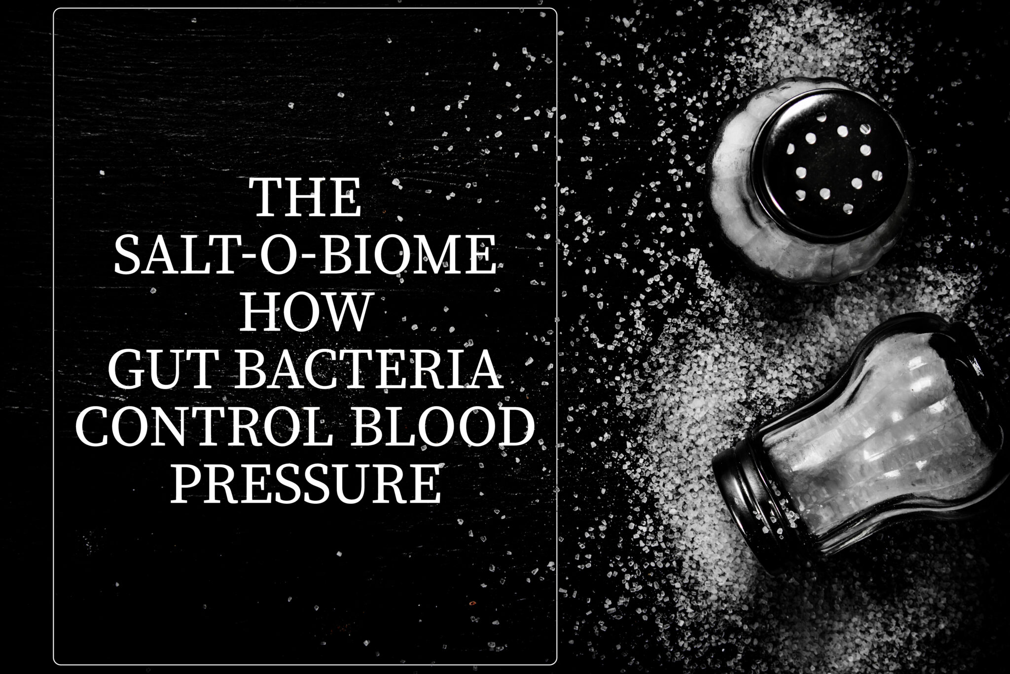 High-salt diets and hypertension: A gut microbiome point of view - Med ...