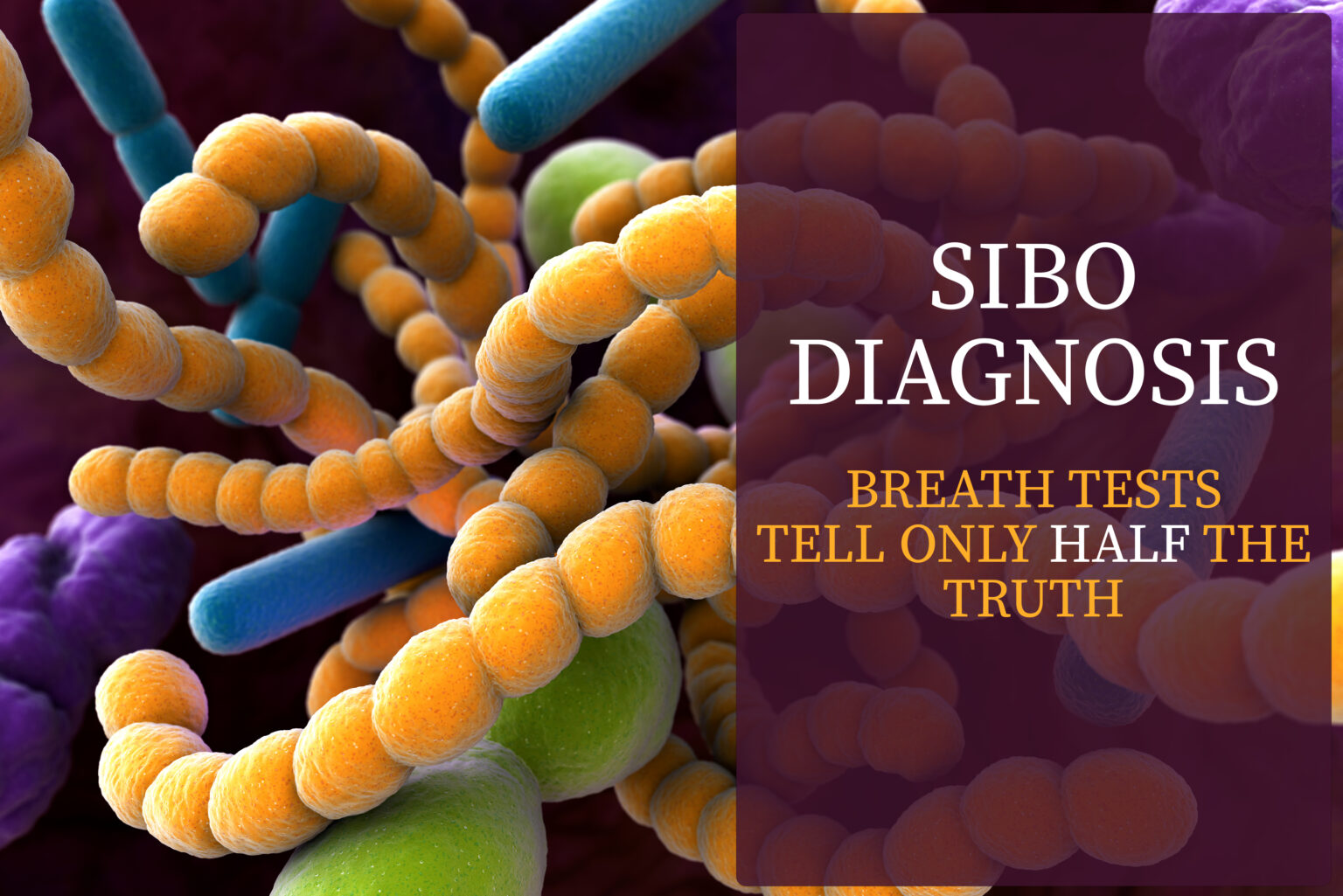 Why diagnosing the specific bacteria causing SIBO is so important ...