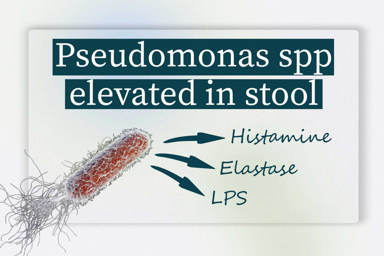 Pseudomonas spp high in stool: Another IBS maker - Med Case Studies